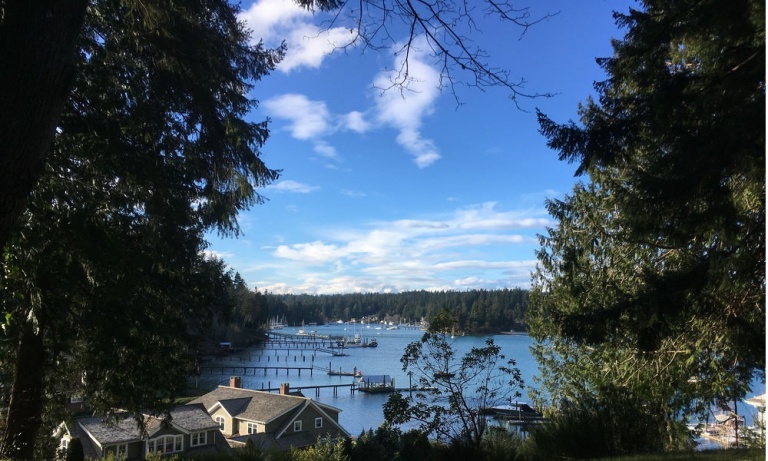 Awesome Islands to Visit by Ferry from Seattle | Miles Away