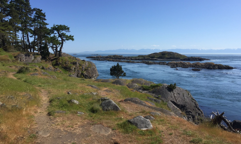 Awesome Islands to Visit by Ferry from Seattle | CheapOair MilesAway