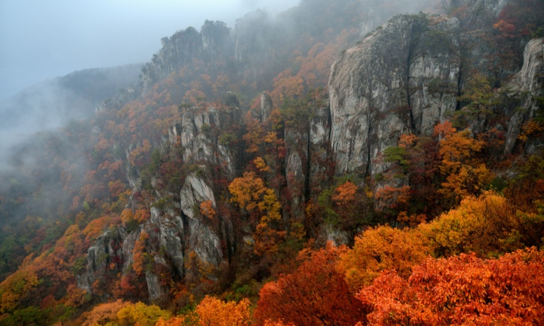 Visiting the South Korea Countryside | CheapOair Miles Away
