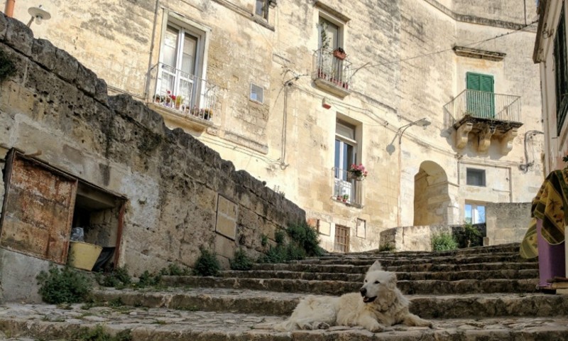 My Trip That Uncovered The Real Italy | CheapOair MilesAway