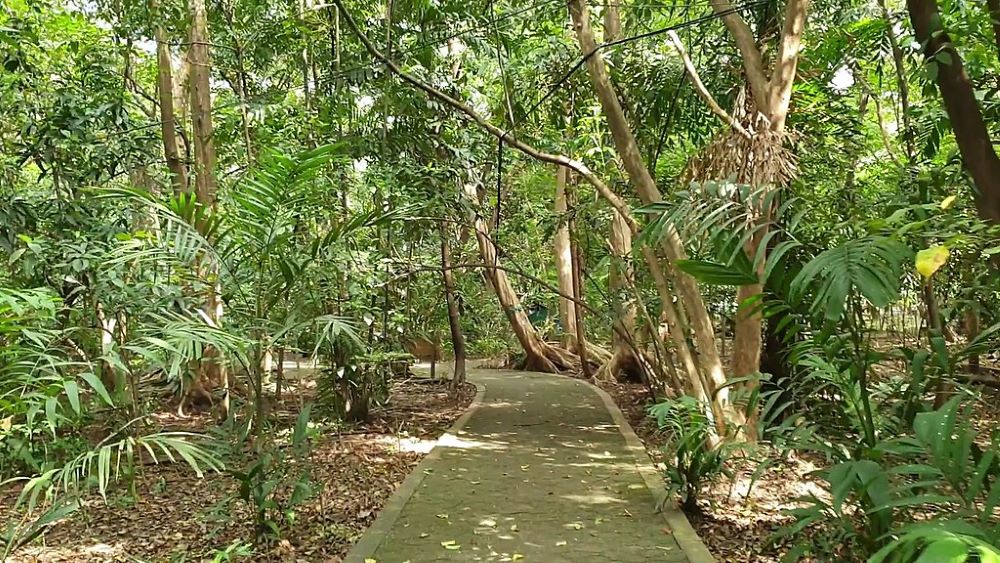» Manila Travel Guide — Historic Landmarks and Lush Landscapes