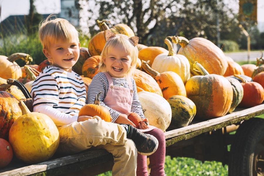 Coolest Locations for Nationwide Pumpkin Day