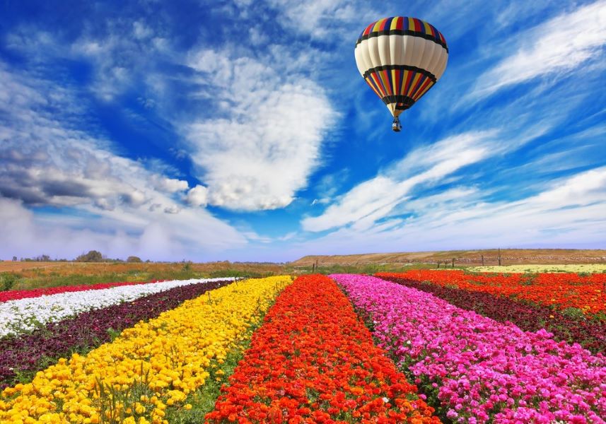 World Destinations for Flower Lovers | CheapOair MilesAway