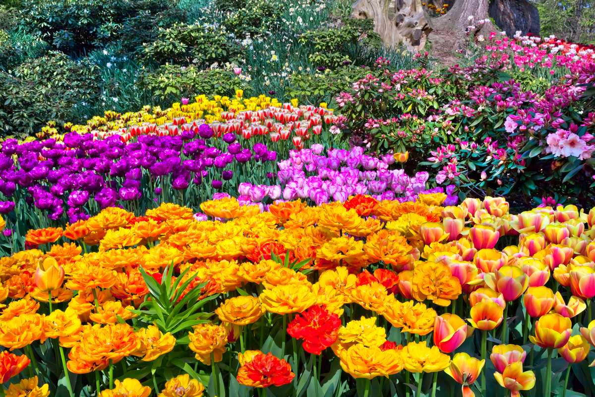 Places in Dubai for the Nature Lovers to Visit | Things To Do